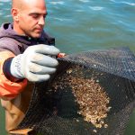 OYSTER FARM TOURS – Matunuck Oyster Bar