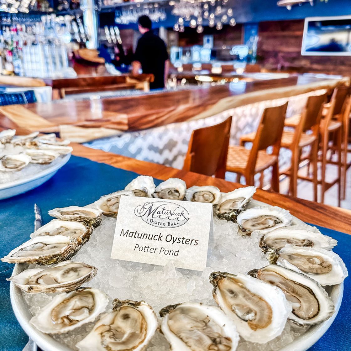Book An Event – Matunuck Oyster Bar