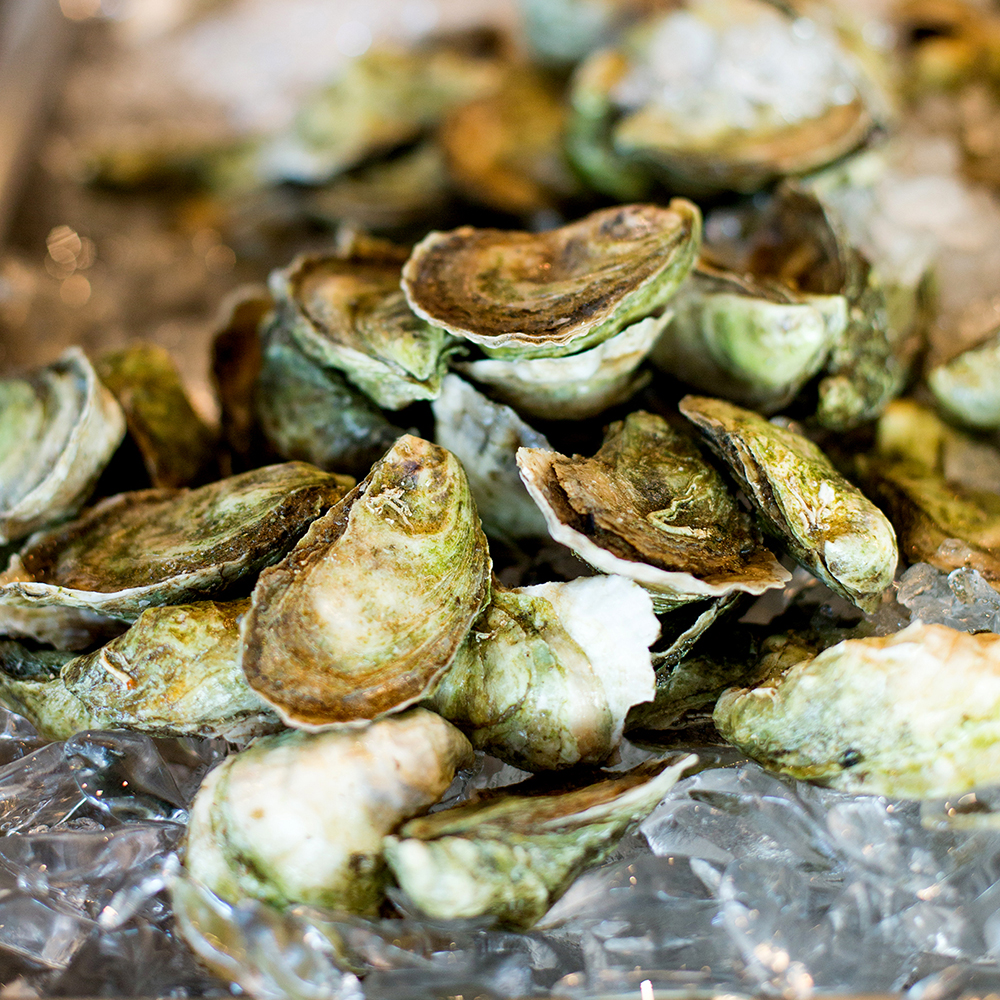 Matunuck Oyster Bar – Matunuck Oyster Bar