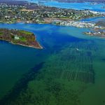 Matunuck Oyster Bar – Matunuck Oyster Bar