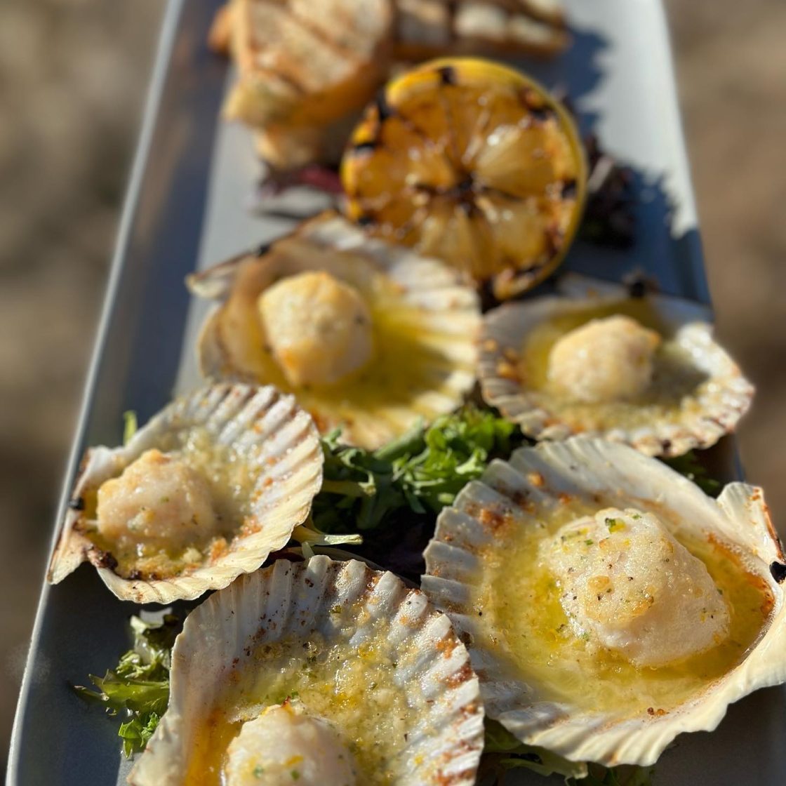 Matunuck Oyster Bar – Matunuck Oyster Bar