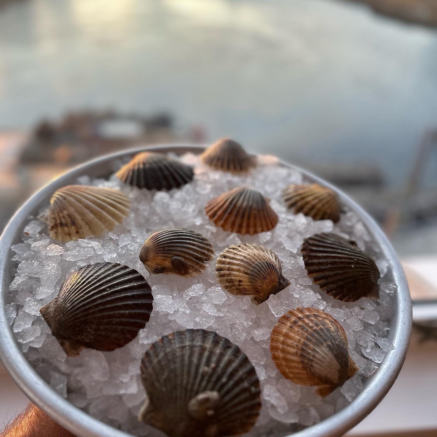 Matunuck Oyster Bar – Matunuck Oyster Bar